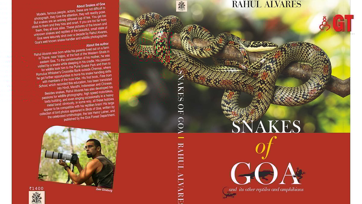 Meet Rahul Alvares who is charmed by the snakes of Goa | Gomantak Times