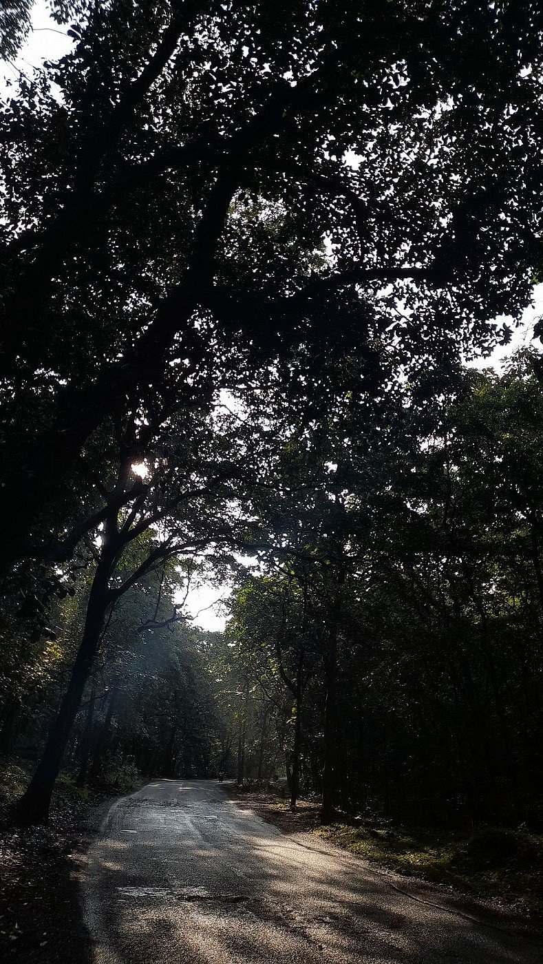 Valpoi is nature's gift to Goa, a must-visit destination | Gomantak Times