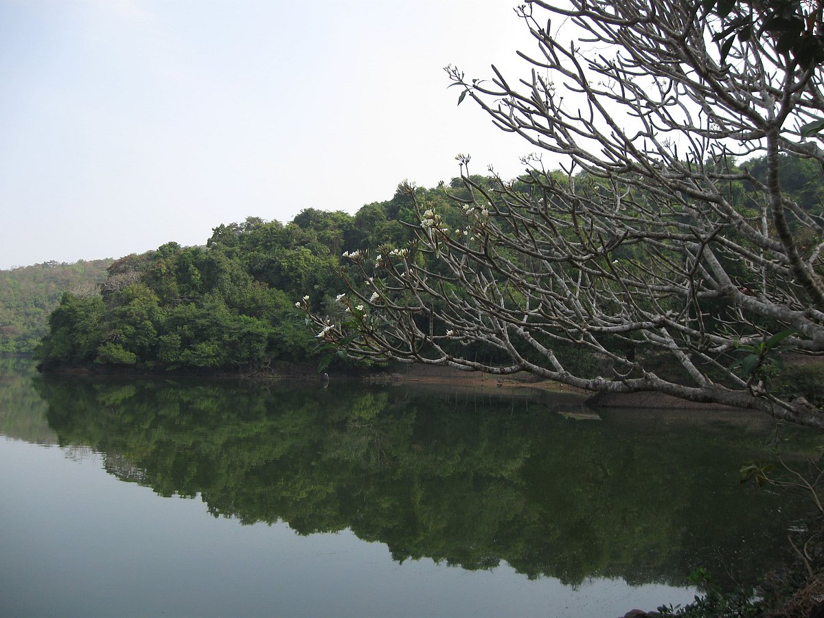 Find out what makes this lake near Goa an award-winner | Gomantak Times