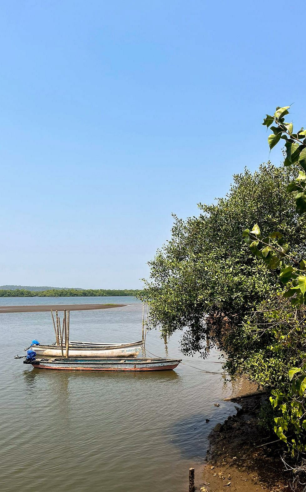 Goa's Ribandar is calling, but make sure to bring your camera - Goa ...