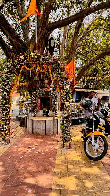 Explore the riverside village of Betim | Gomantak Times