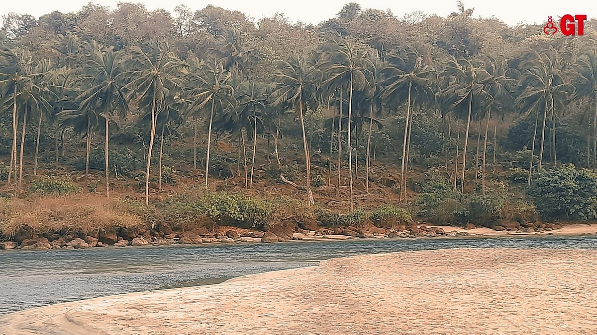 Galgibaga in South Goa echoes with the sounds of nature - Goa | Goa ...