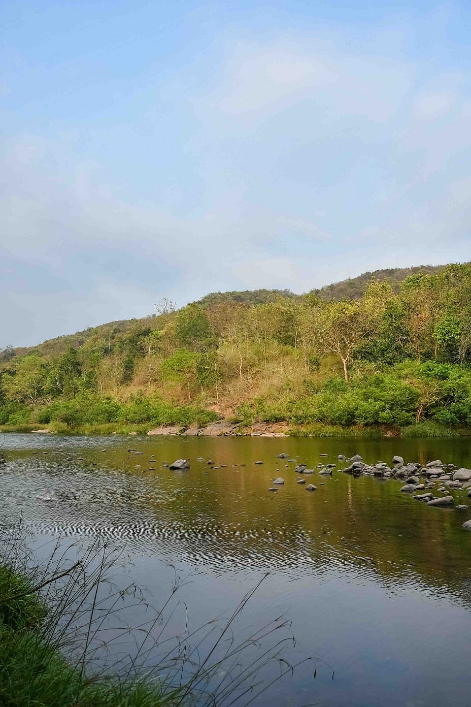 River Mhadei's story is the one that can be gauged through its flow ...