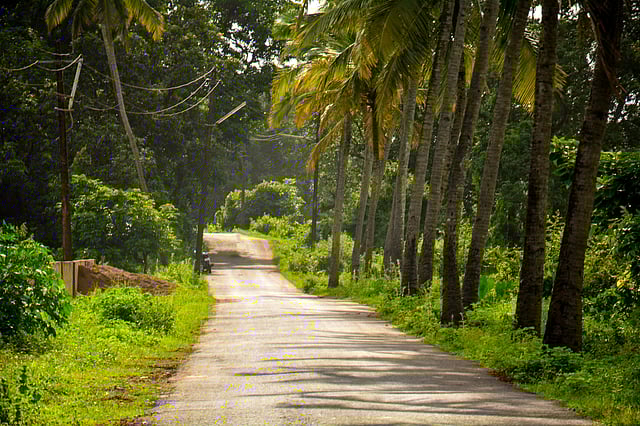 Madkai in Goa selected for climate change project|Gomantak Times