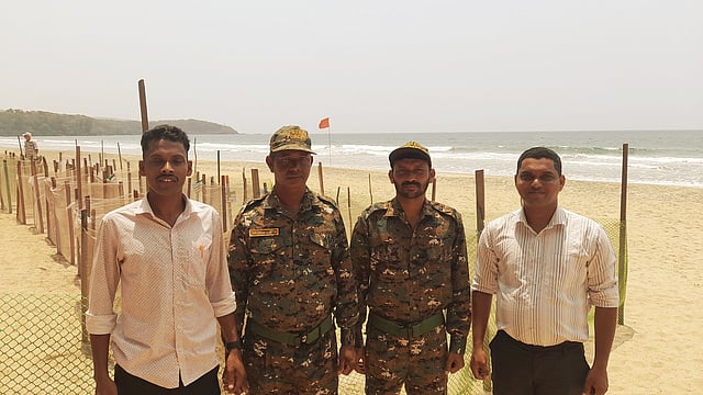 Goa's Record-breaking Turtle Nesting Season - Goa News | Latest Goa ...