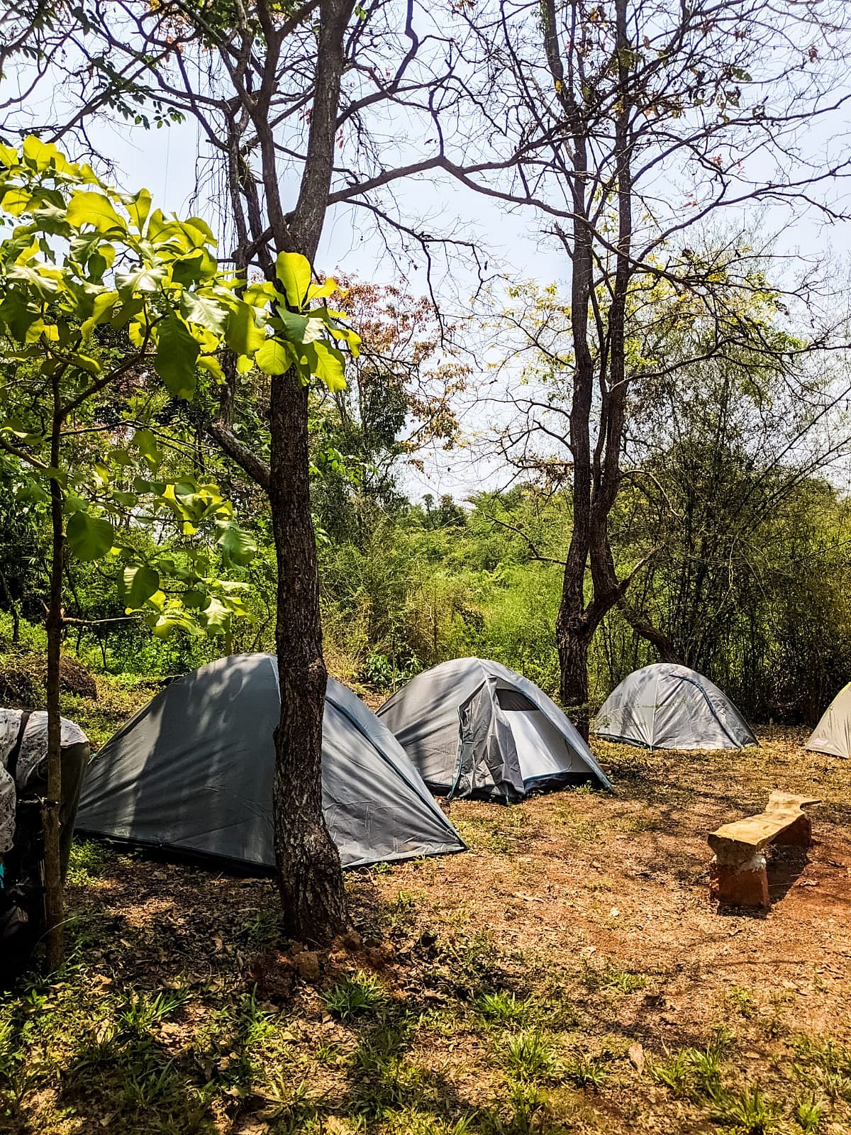 Green Goa Village adventure camp, an unforgettable experience for ...