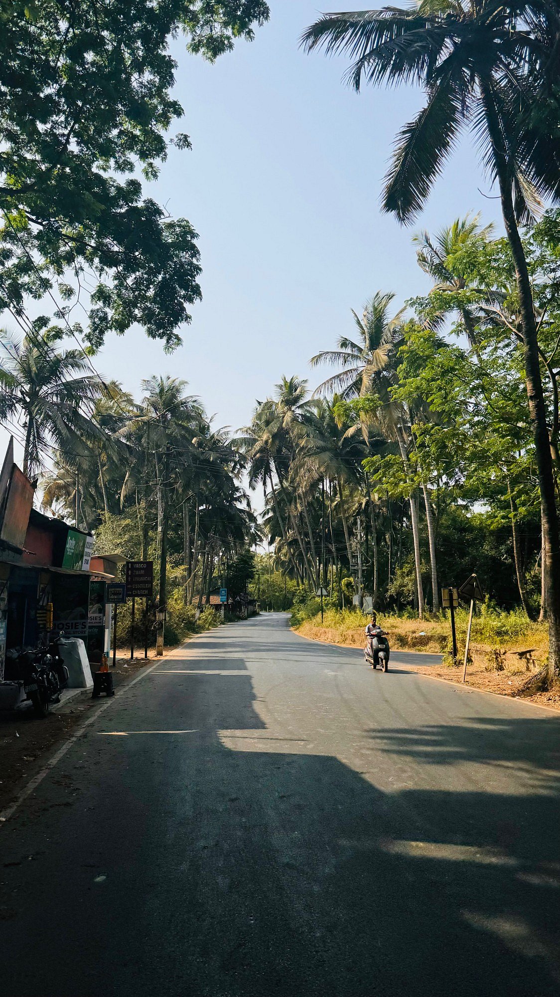 Take some time out to discover Velsao in South Goa | Gomantak Times