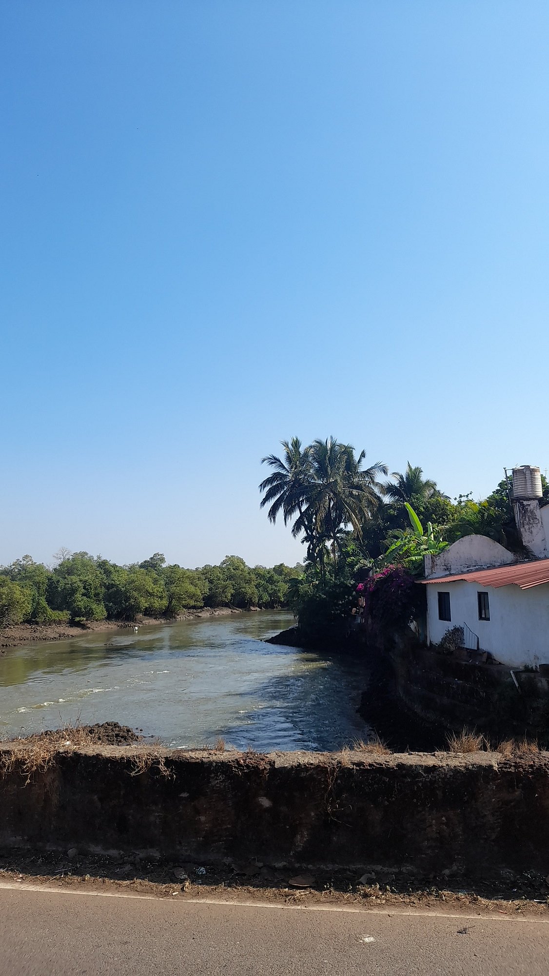 Make a move beyond beaches, explore Goa's riverside | Gomantak Times