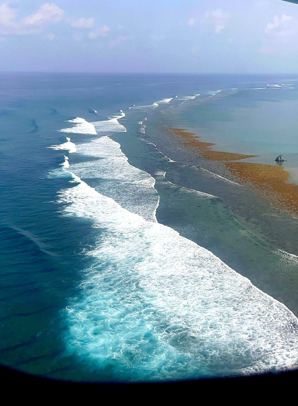 Experience double delight with FLY91, Goa's new regional carrier - Goa ...