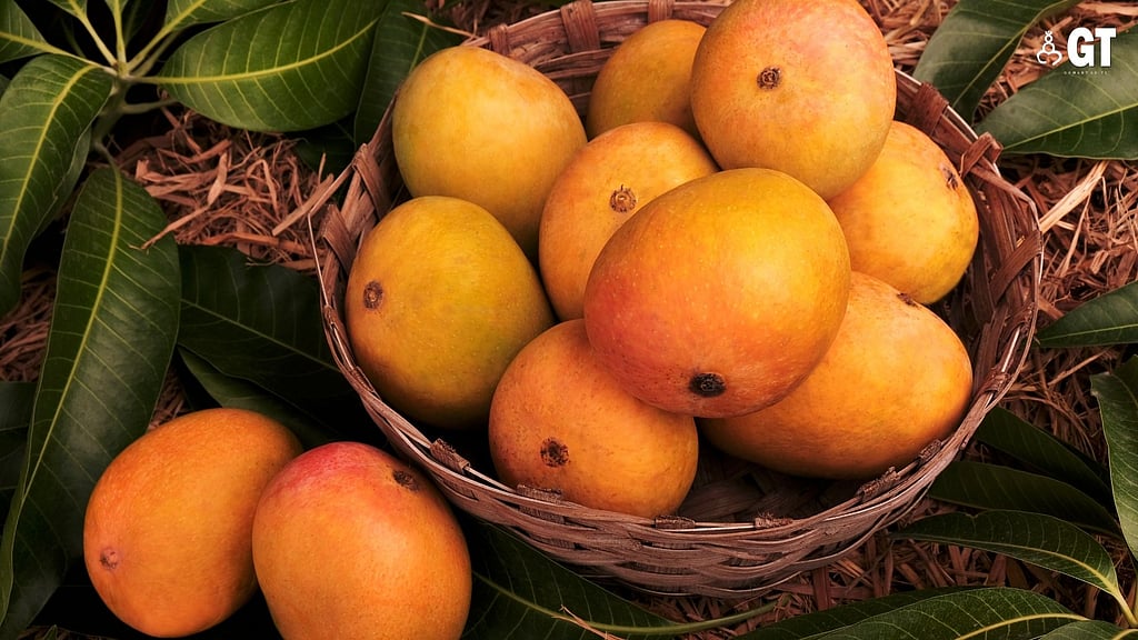 If mangoes beckon, explore flavours beyond Mankurad when in Goa ...