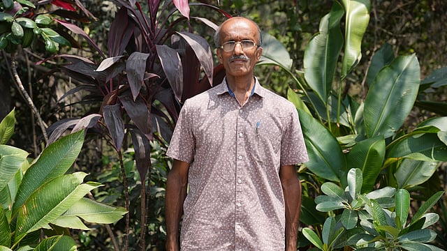 Go natural: A Goan farmer's impassioned plea | Gomantak Times