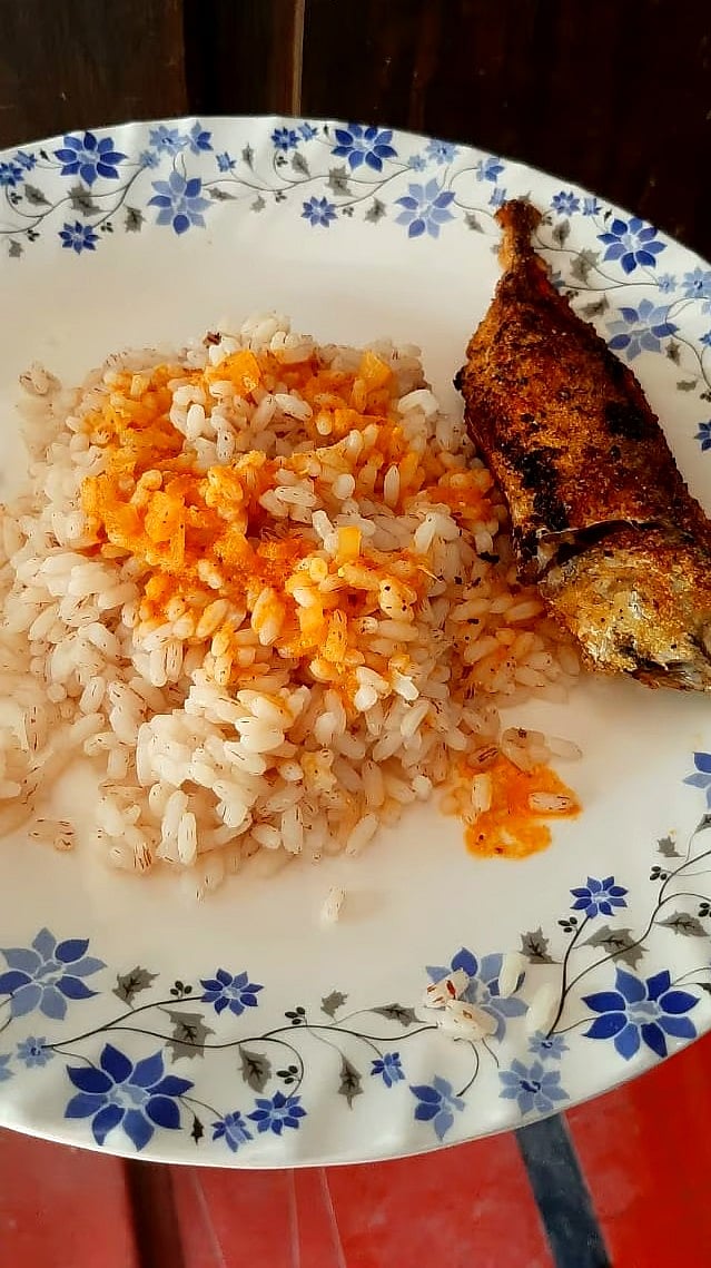 ICAR's big contribution to Goa's rice heritage | Goa ICAR | Gomantak Times