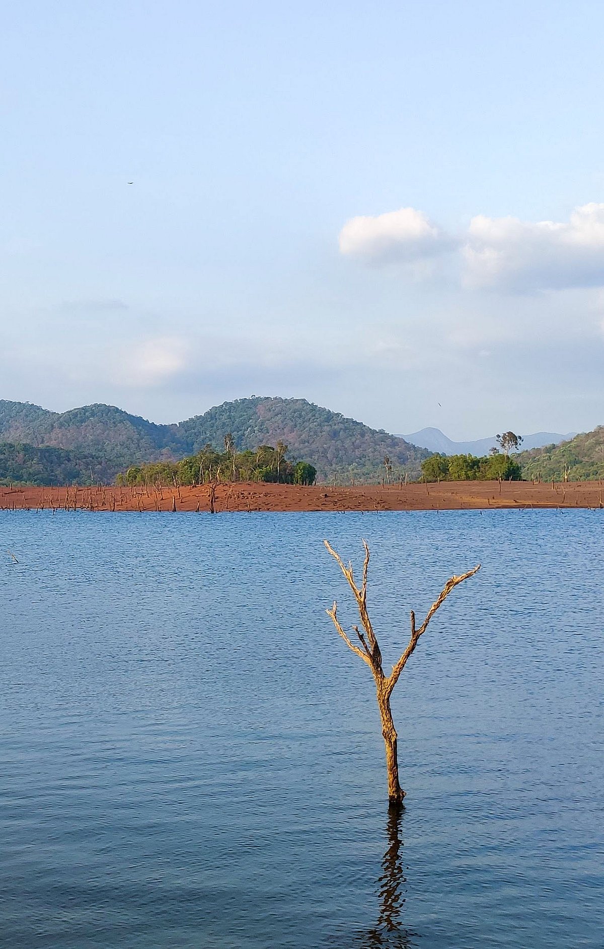 Visit Goa's sunken village, Curdi, this summer | Best Place To Visit n ...