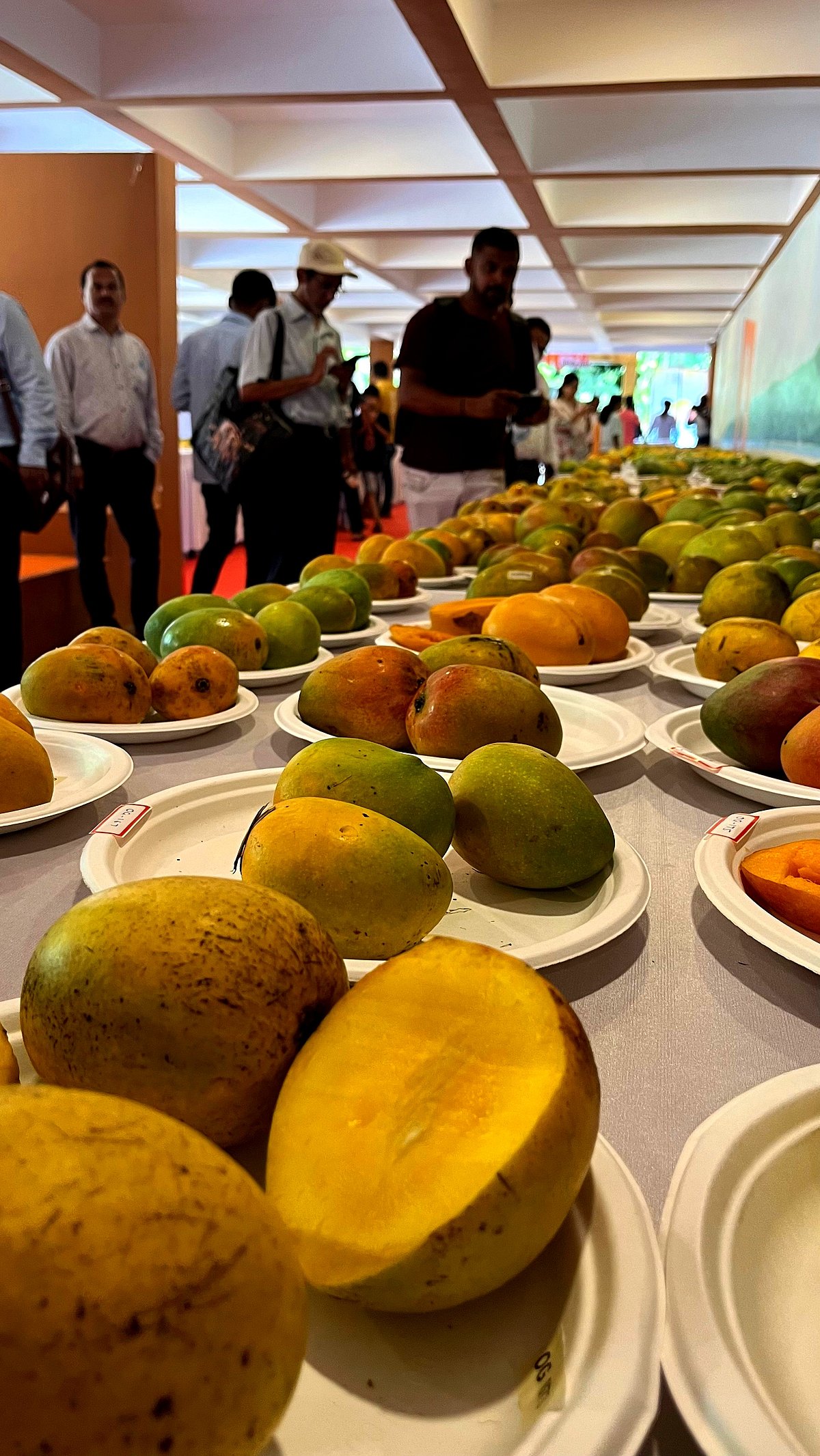 Come experience mango mania at Goa Mango Show 2024 | Gomantak Times
