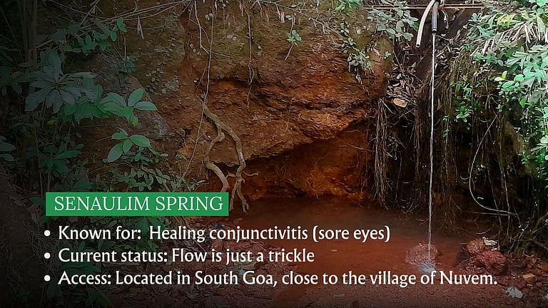 Rejuvenate yourself at Goa’s many springs |Gomantak Times