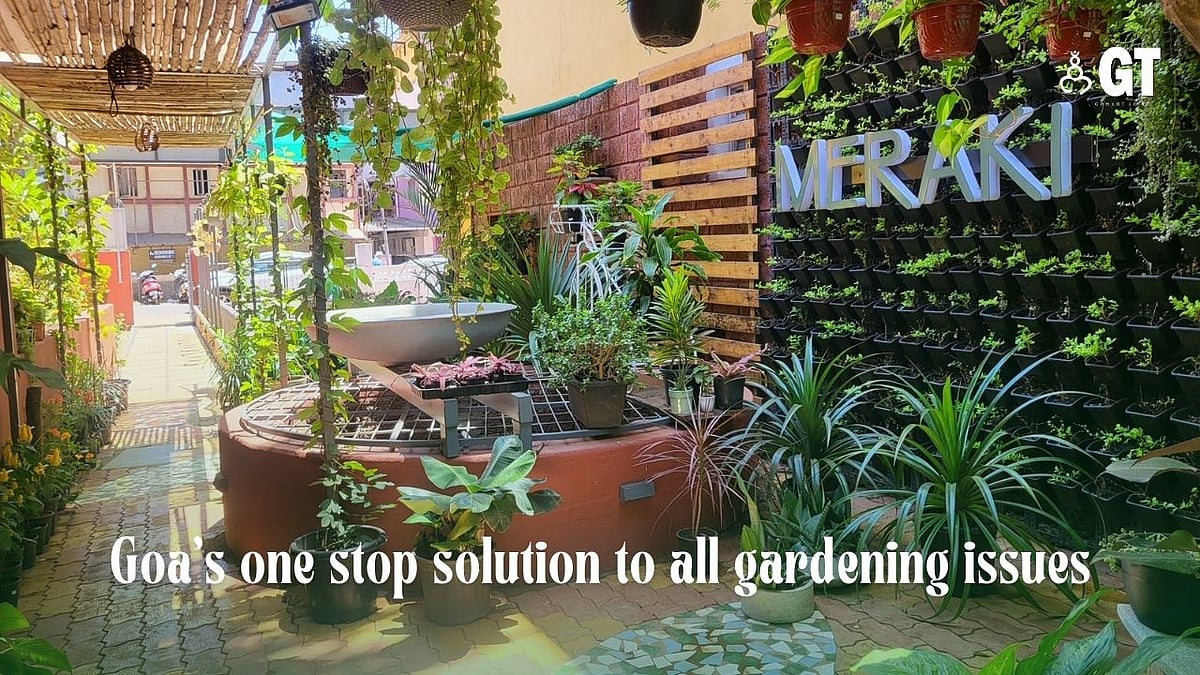 Goa's one stop solution to all gardening issues | Plants for sale in ...