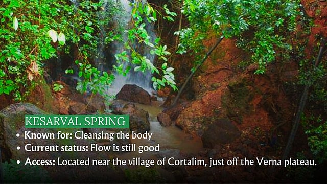 Rejuvenate yourself at Goa’s many springs |Gomantak Times