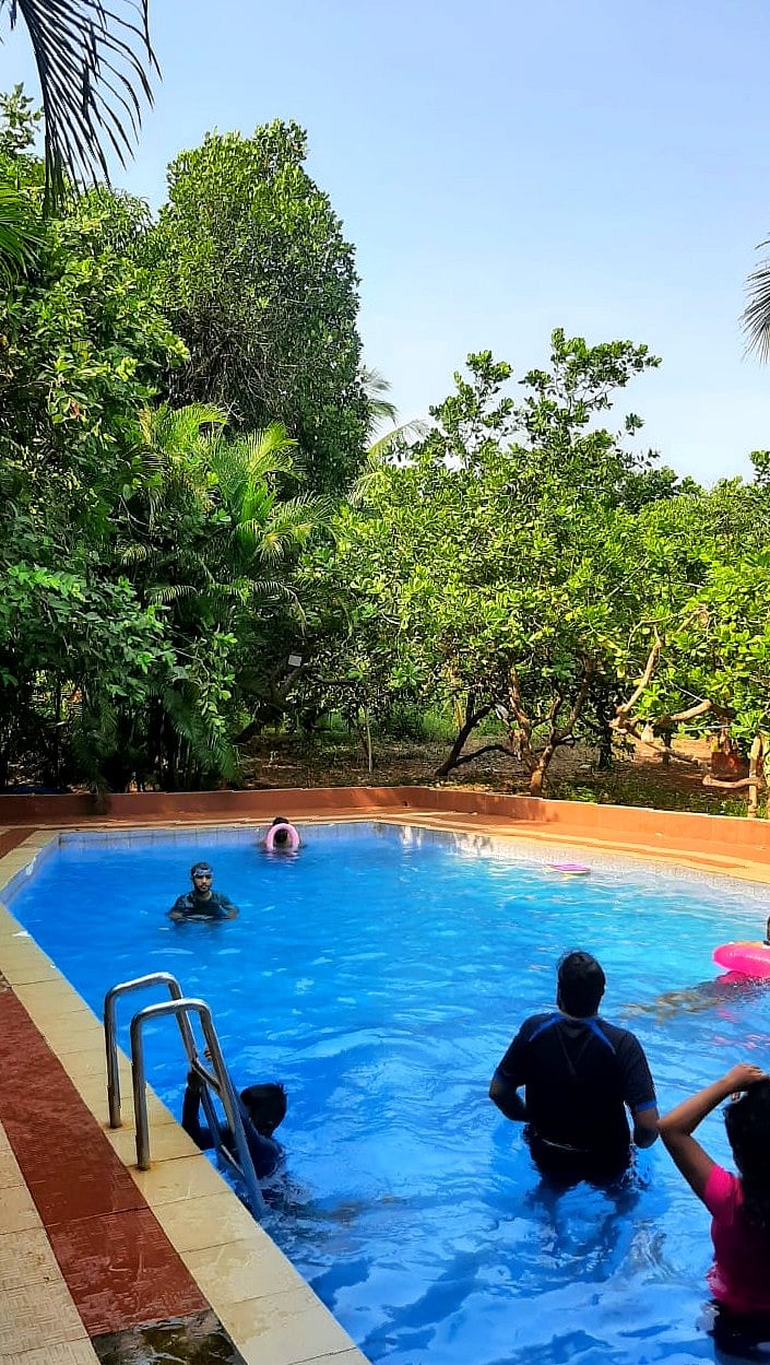 At this farm in Goa, you are sure to experience the perfect staycation ...