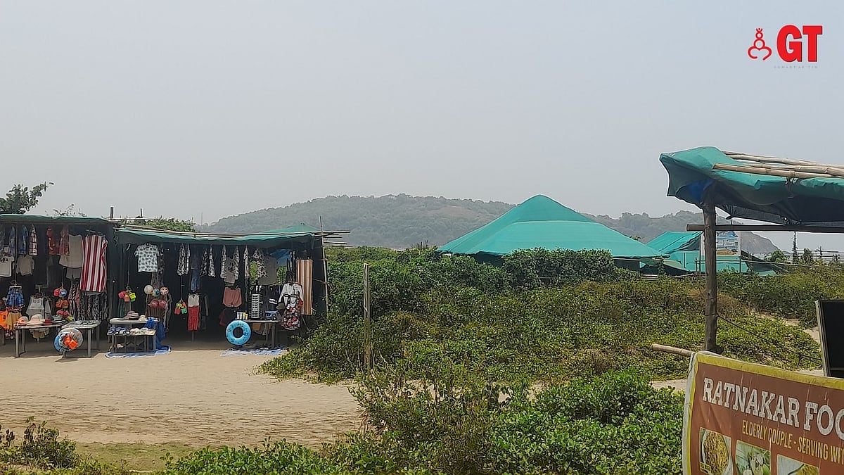 Goa tourism project shadow falls on turtle nesting land - Goa ...