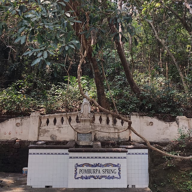 Rejuvenate yourself at Goa’s many springs |Gomantak Times