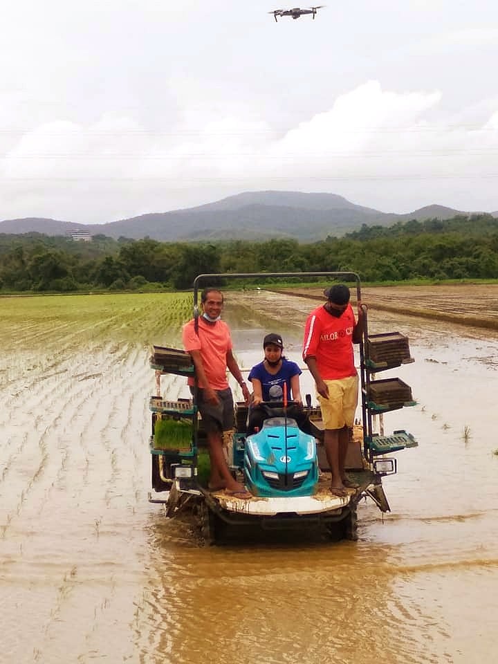 Rice Cultivation in Goa : Traditional rice cultivation in Goa embraces ...