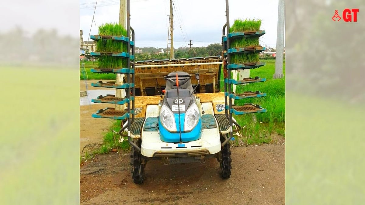 Rice Cultivation in Goa : Traditional rice cultivation in Goa embraces ...