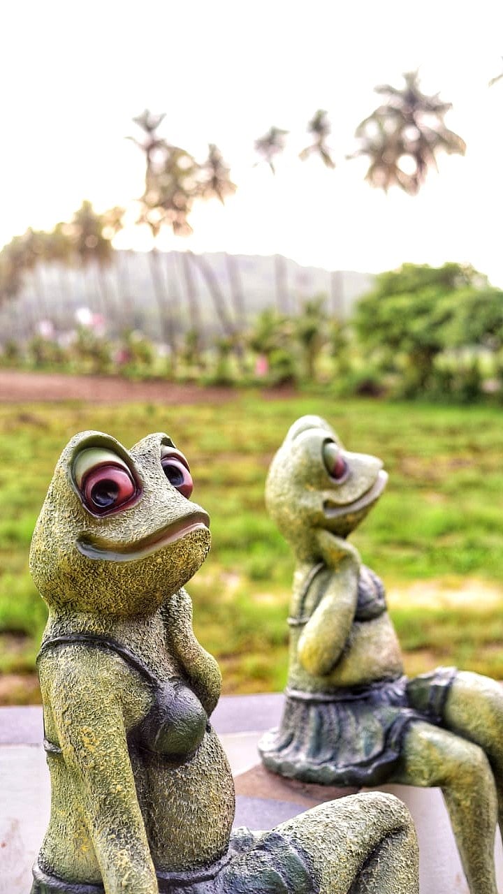 More reason now to visit Parra Madani road in Goa| Gomantak Times