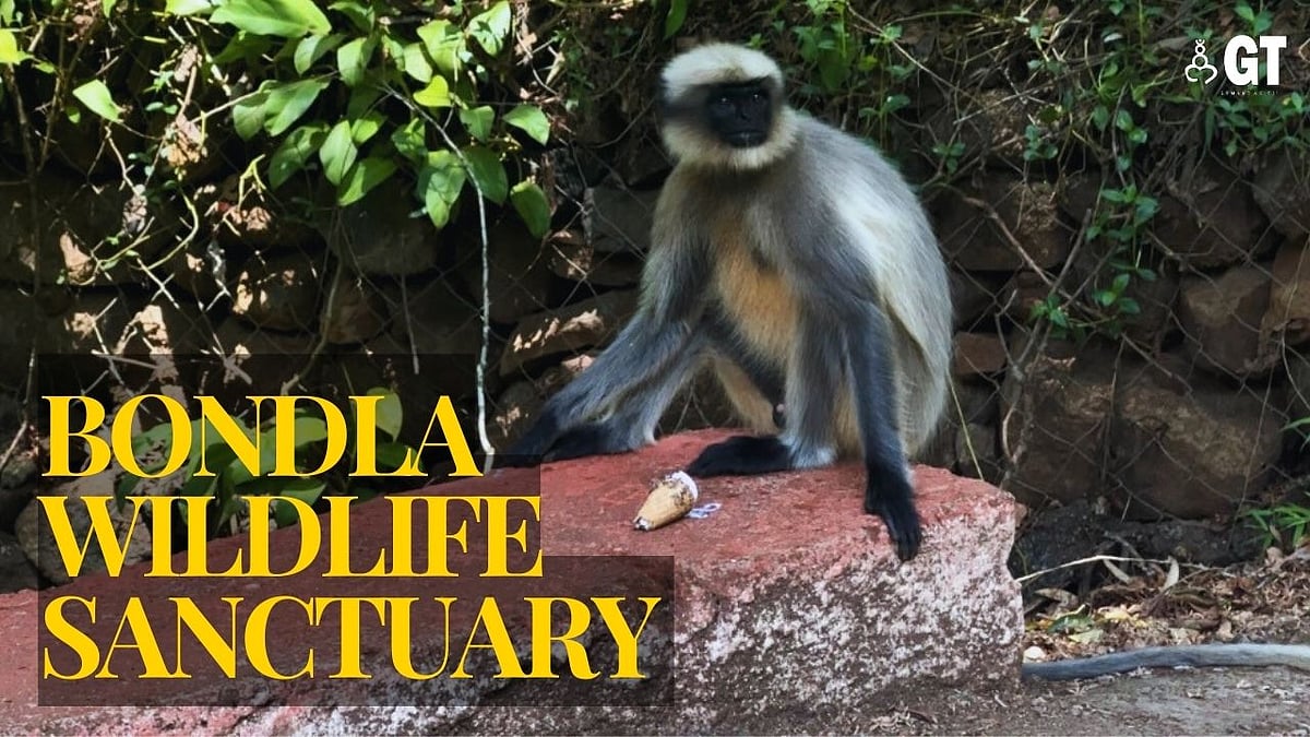Live with the wild at Goa's Bondla Wildlife Sanctuary | Gomantak Times