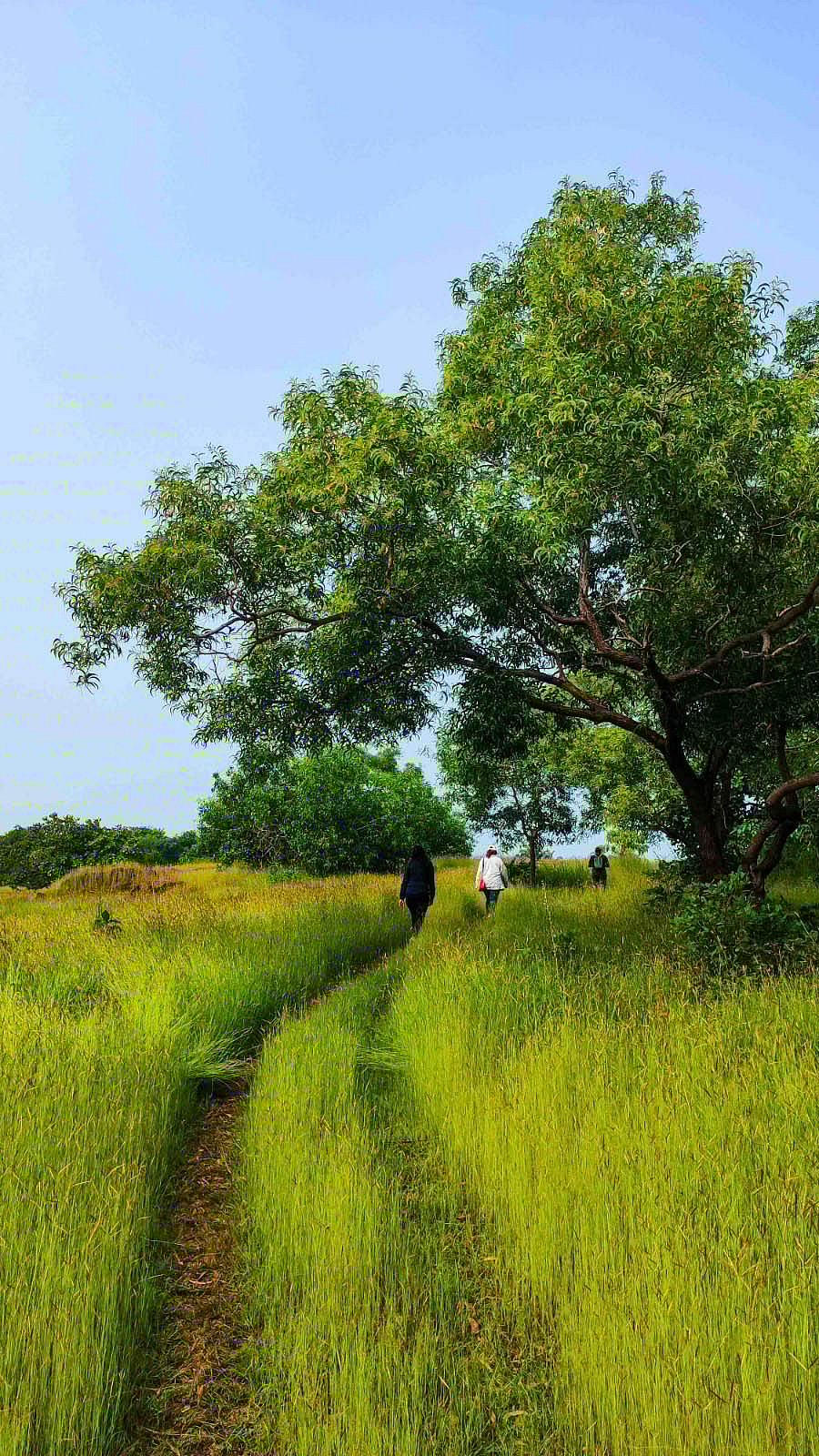 Goa calling, relive the moments, rediscover the magic | Gomantak Times