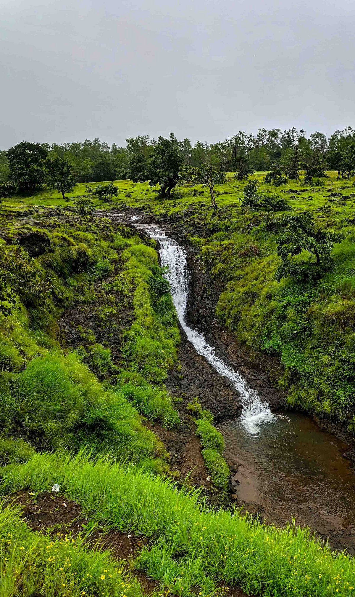 World Environment Day 2024 : Commit to Goa's nature this World ...