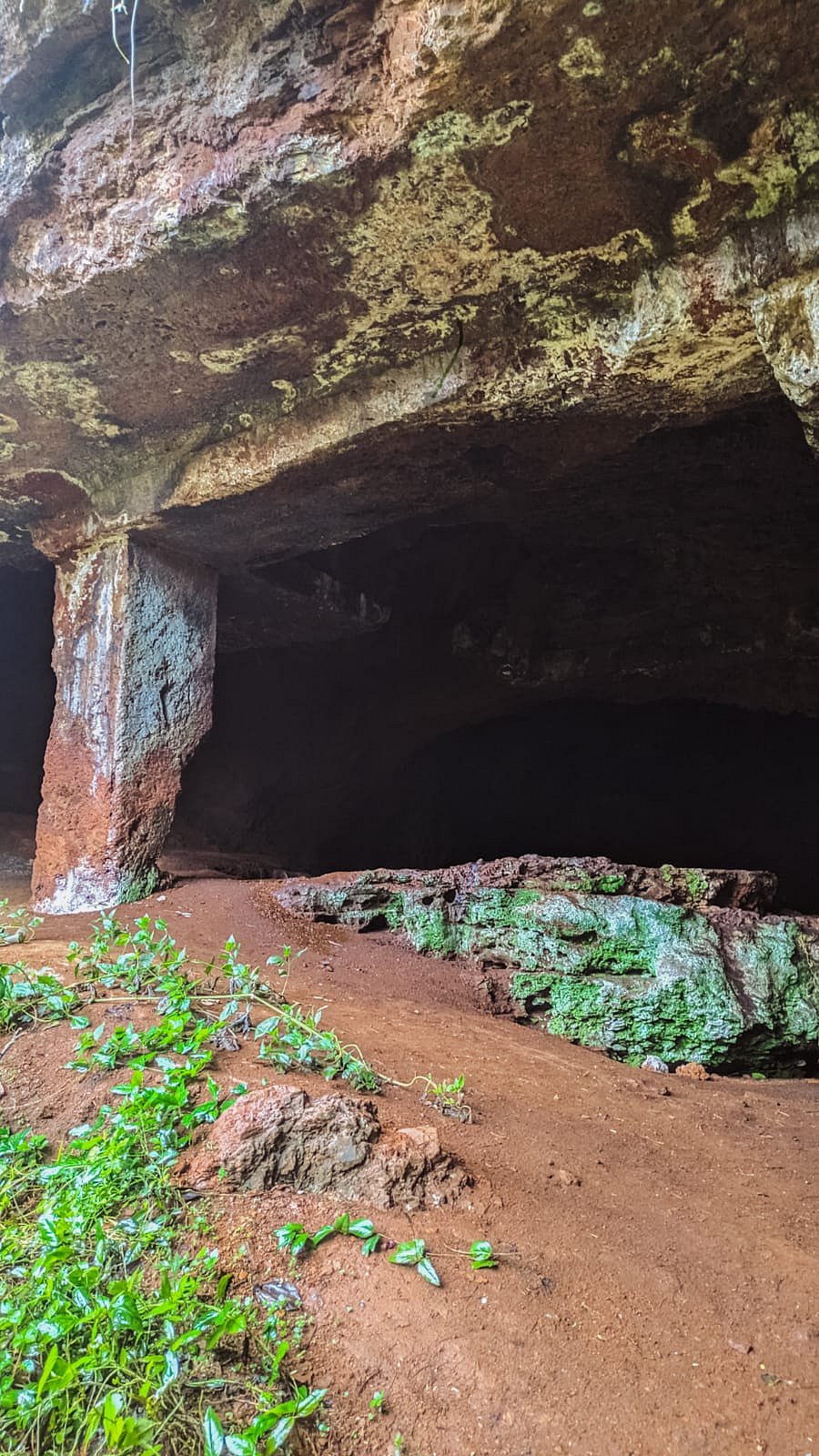 These hidden caves in Bicholim tell a story | Gomantak Times