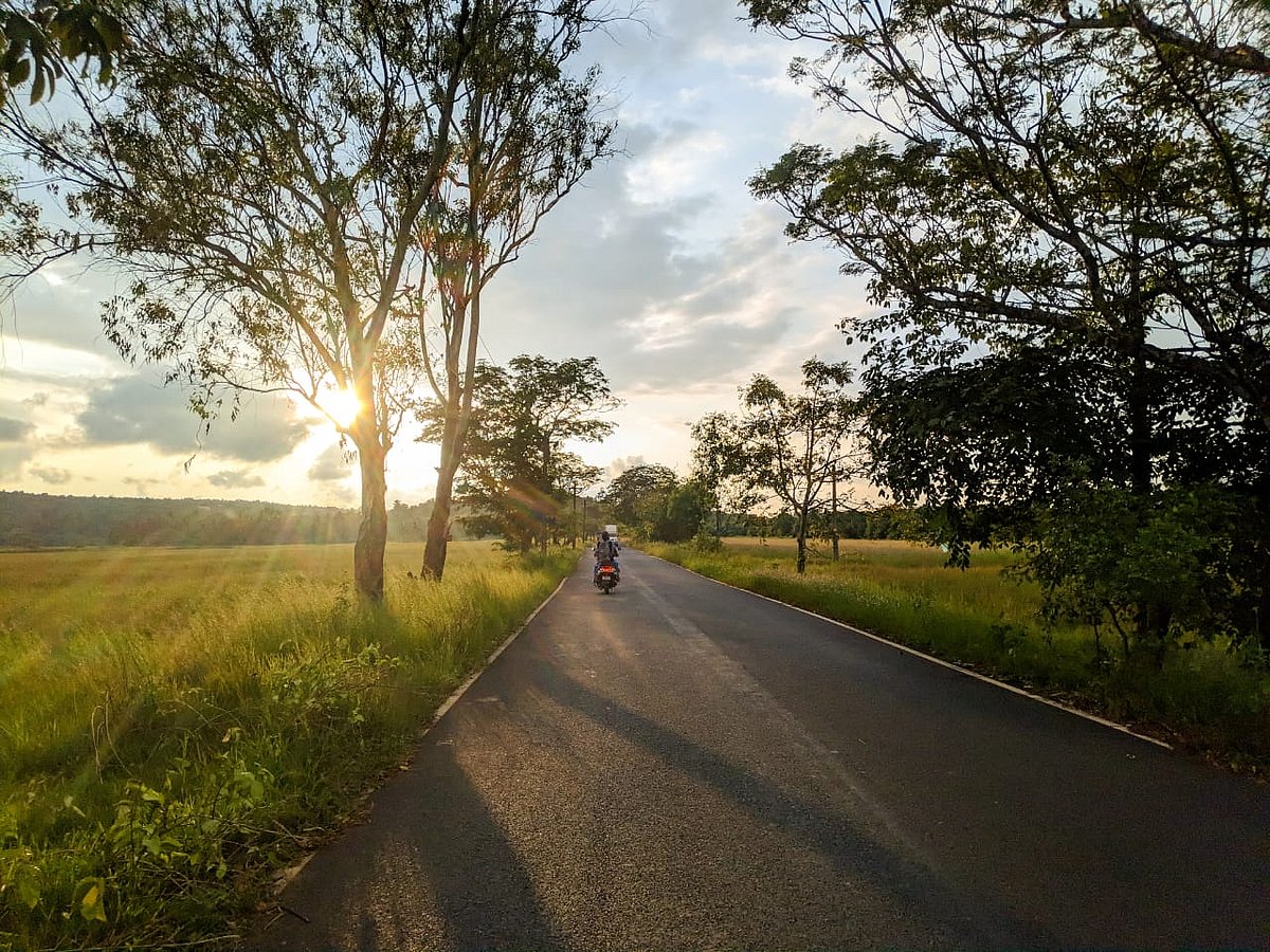 7 ways to seek spiritual awakening in Goa|Gomantak Times