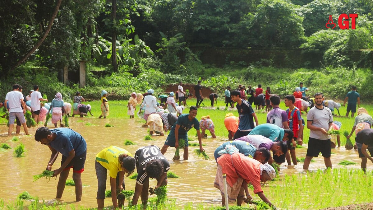 Sowing seeds for food and change in a Goan village | Gomantak Times