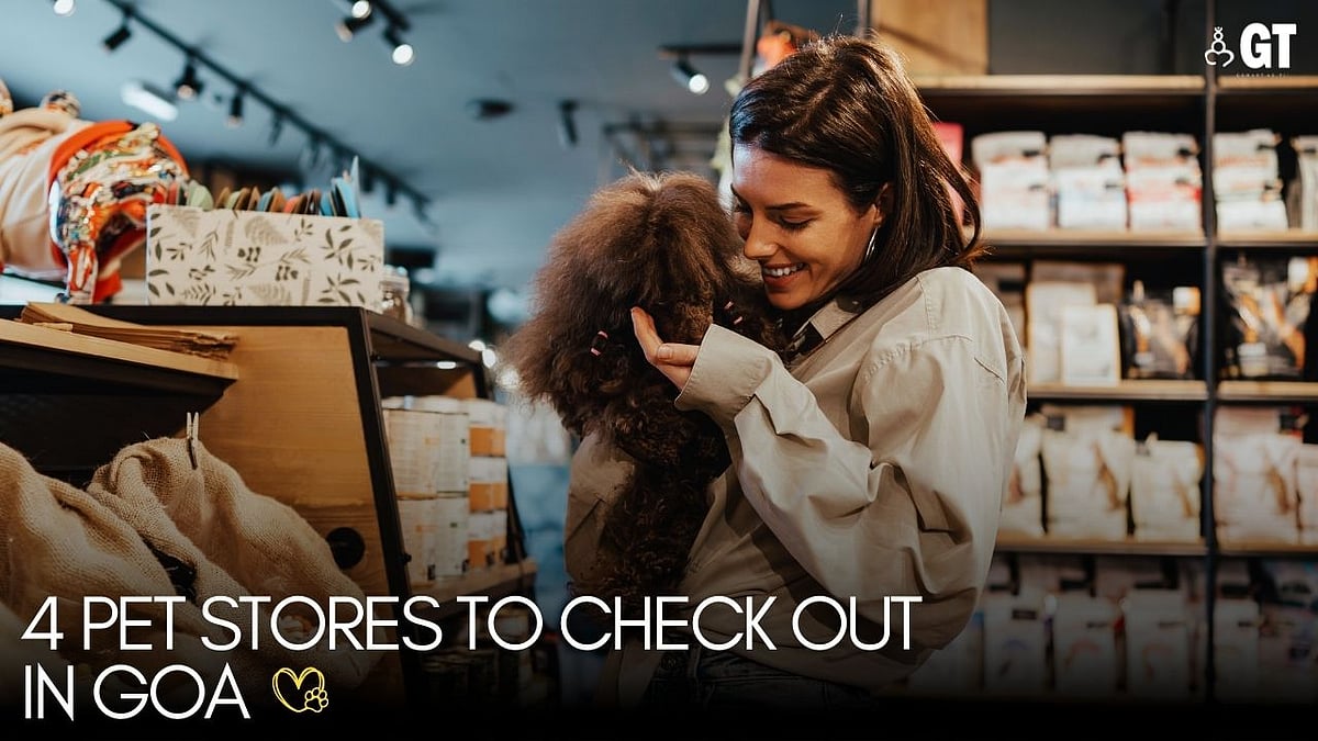 Pamper your fur baby at these 4 pet stores in Goa | Gomantak Times