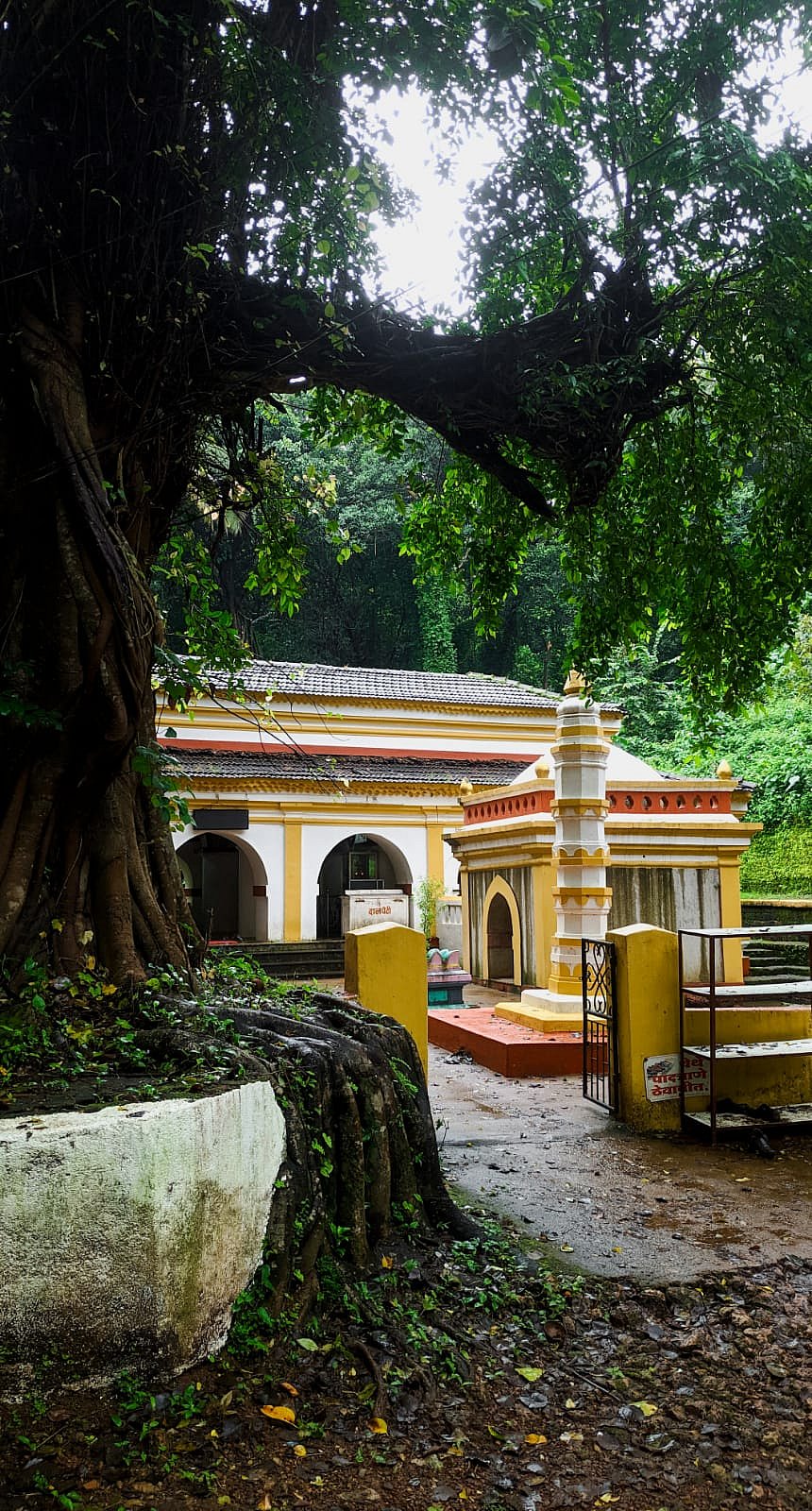 Why does Mulvir Temple in North Goa attract so many visitors ...