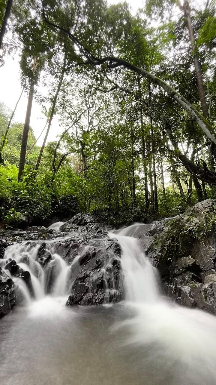 Shhh... don't tell anyone: This South Goa waterfall is pure bliss ...