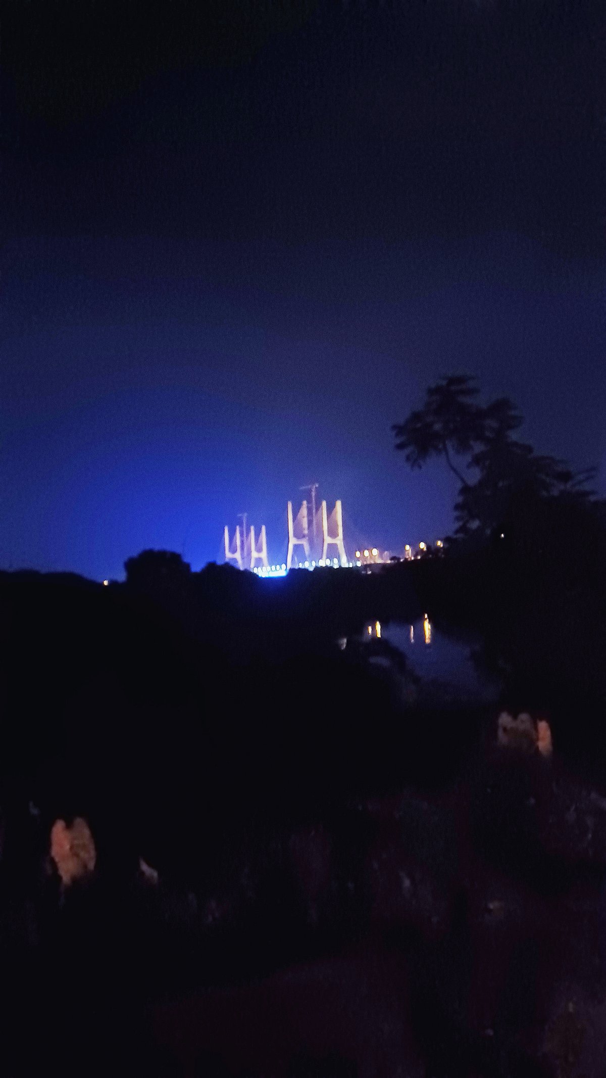 Find solace in the stillness of a Goan night | Gomantak Times