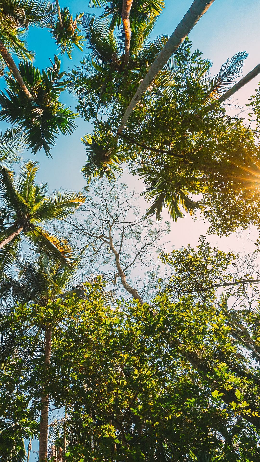 Complete your Goa bucket list for 2024 | Gomantak Times