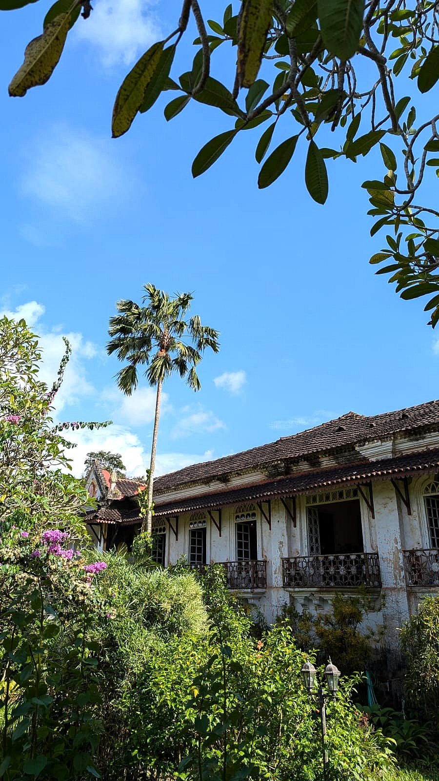 Explore the quieter side of Goa, and discover hidden gems| Gomantak Times