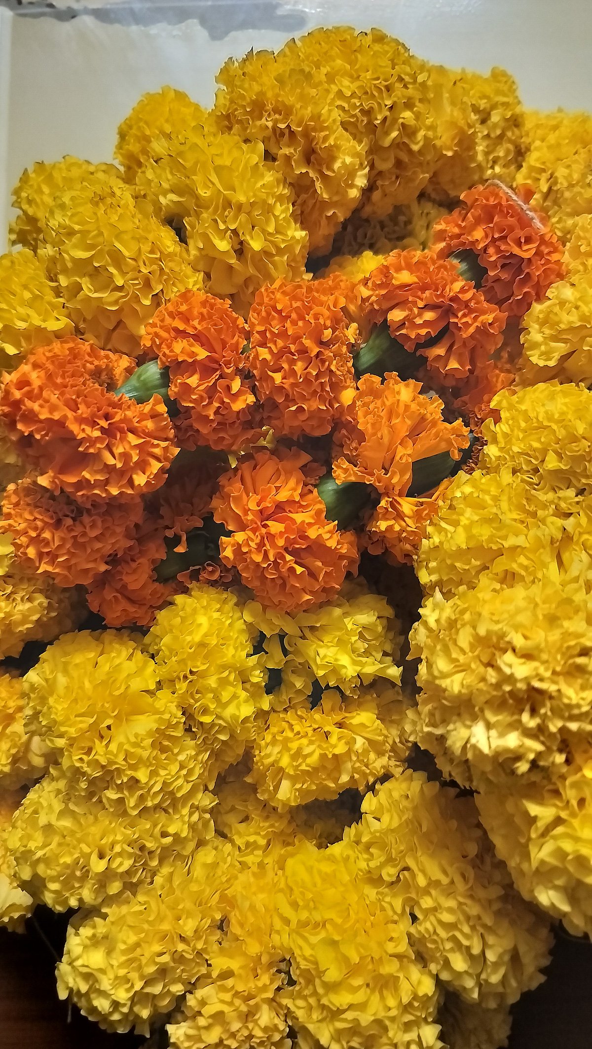 At Dussehra in Goa, the marigold is the flower of the occasion ...