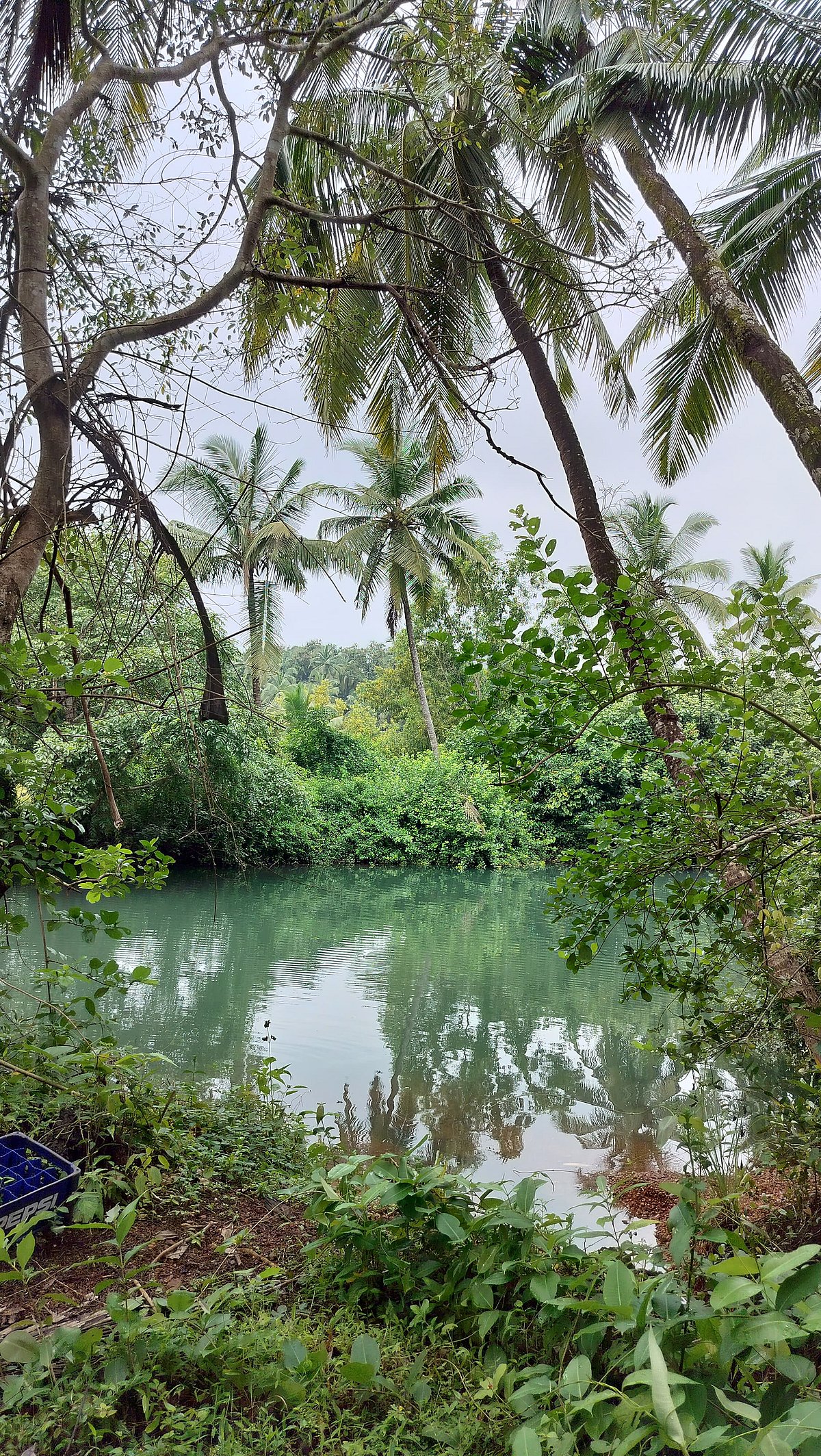 Get a slice of rural Goan life | Gomantak Times