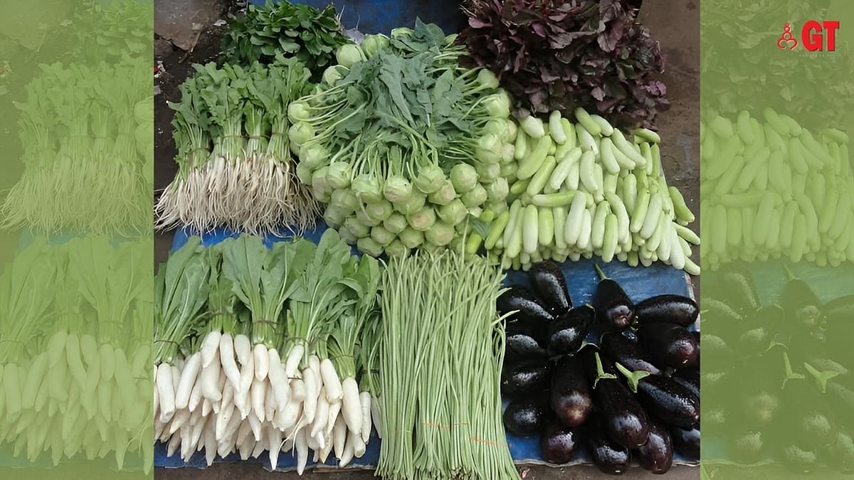 Discover Goa’s rabi crops in Goa this December | Gomantak Times