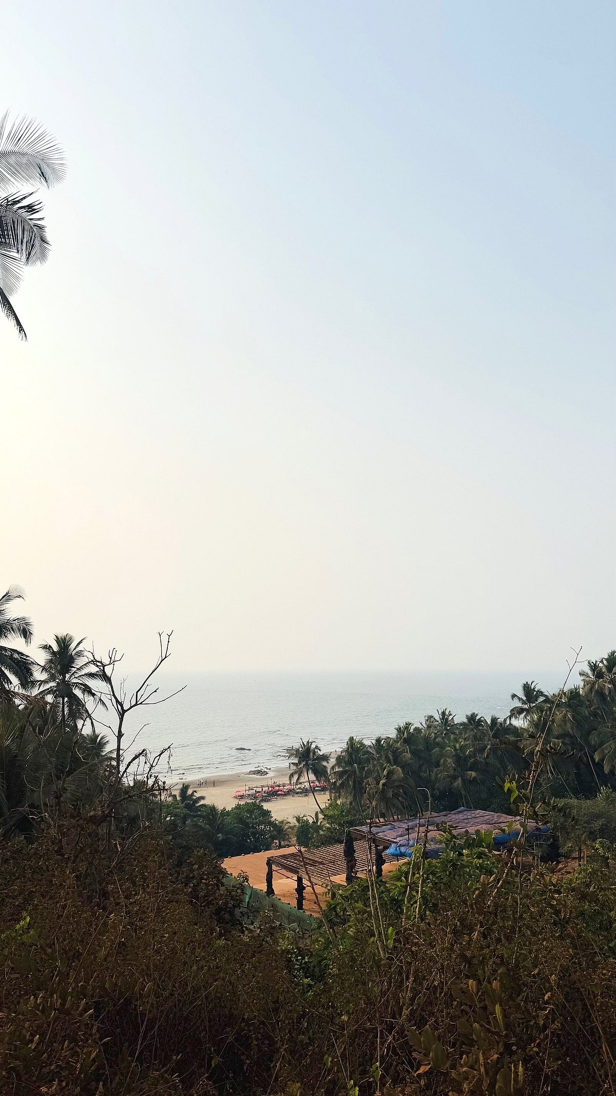 Visiting Vagator beach? Here's what you need to know | Gomantak Times