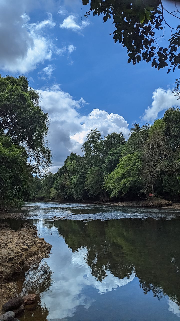 Goa's beautiful waterways will take your breath away | Gomantak Times