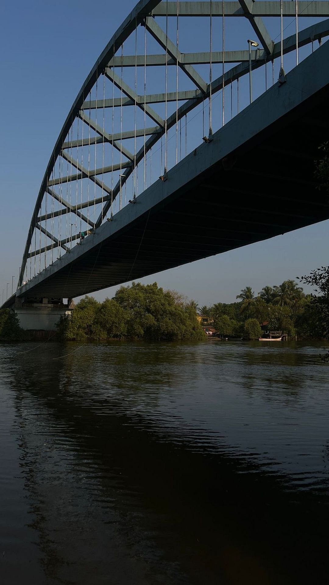 Take a scenic evening ride in Calvim, North Goa| Gomantak Times