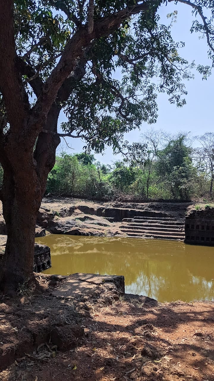 This summer, you can cool down at these places in Goa | Gomantak Times