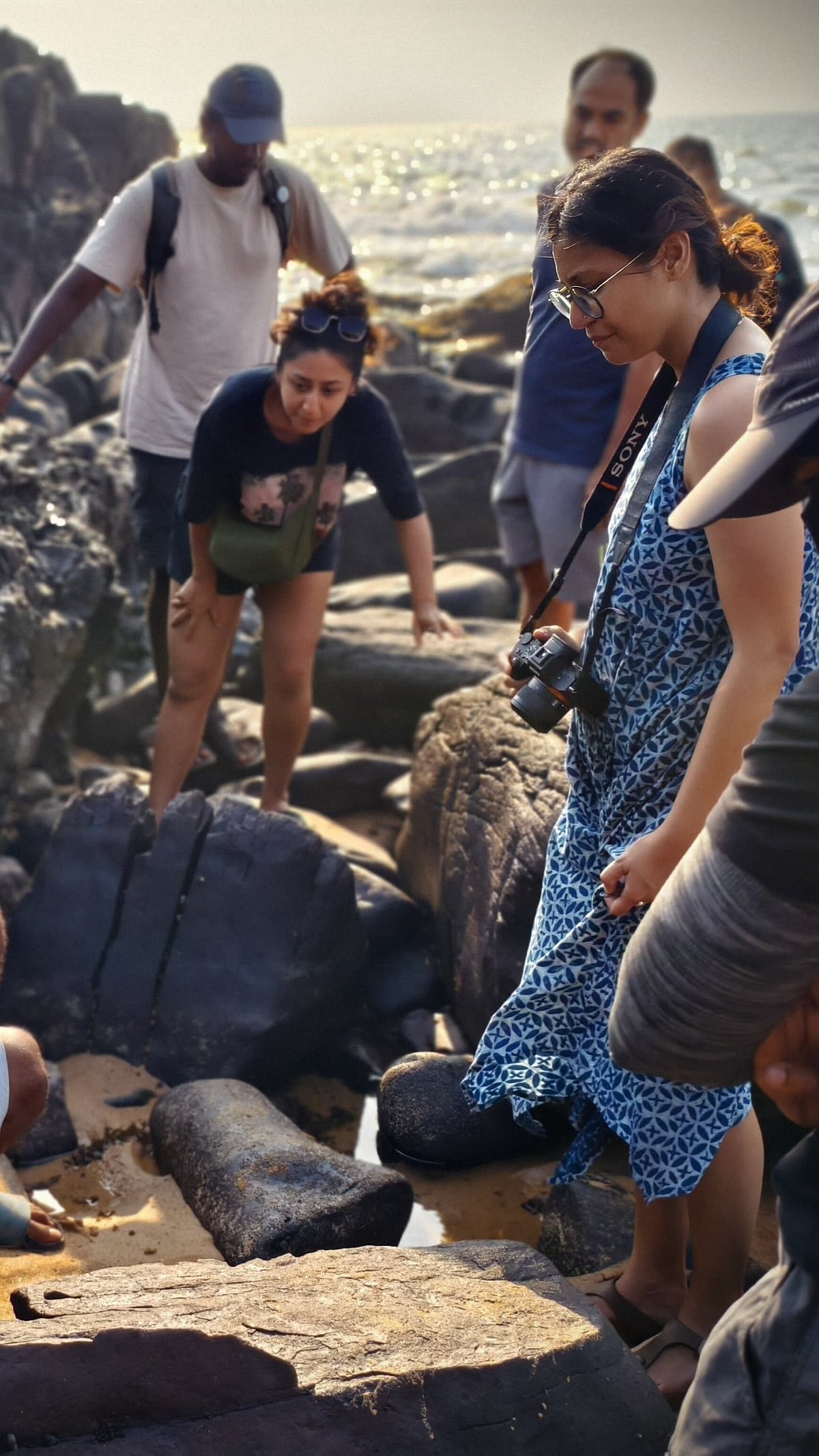 Goa’s hidden marine wonders await you! | Gomantak Times