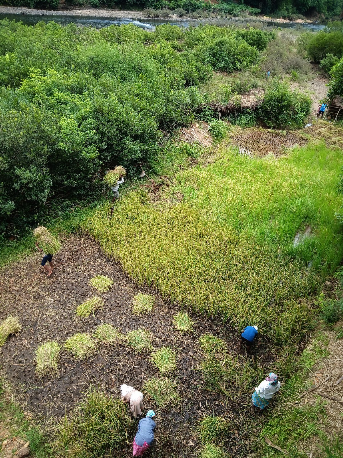 Puran Sheti: The dying wisdom of Goa | Gomantak Times