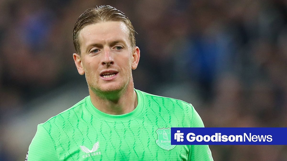 Jordan Pickford the subject of 'significant' transfer hunt as Everton ...