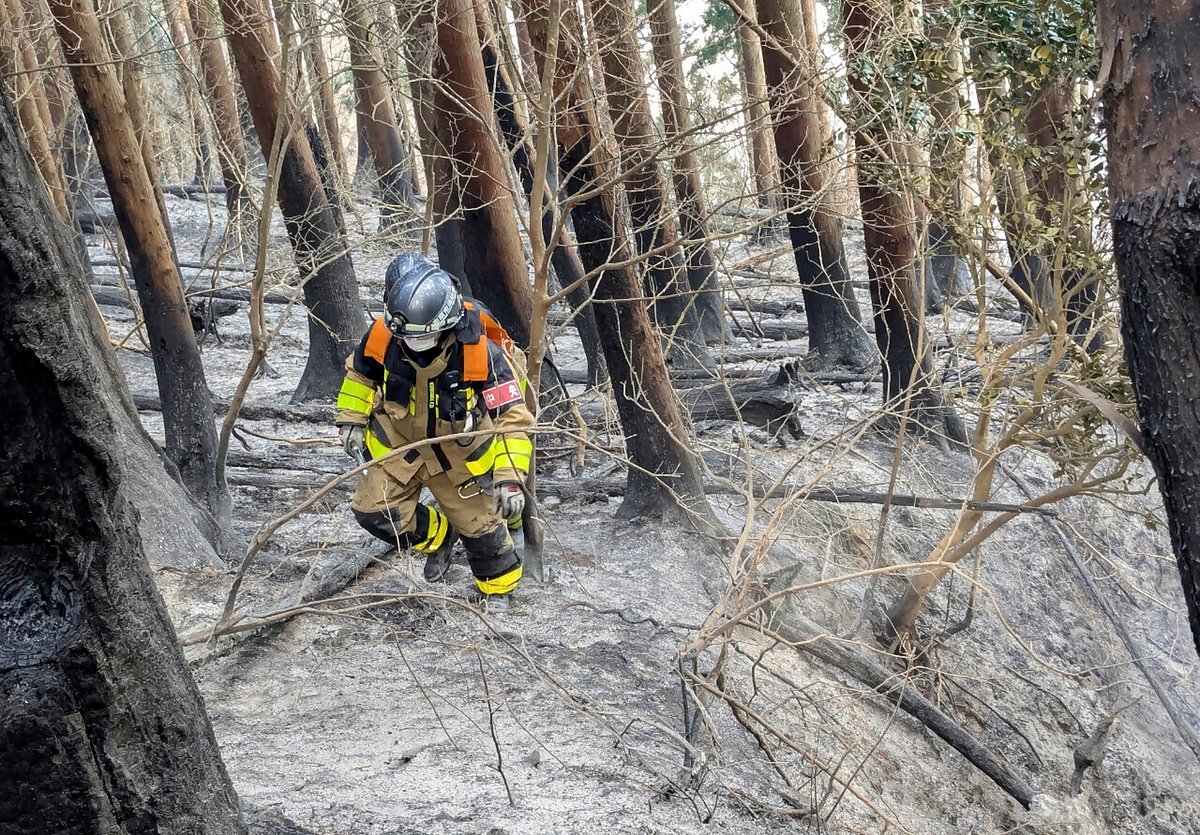 Watch: Rain offers relief in Japan's worst wildfire in 50 years